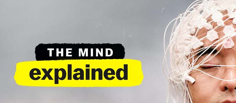 Best Web Series in India (Top Rated) - Don't Miss