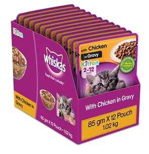 10 Best Cat Foods In India - GrabOn