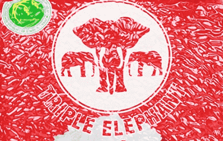 17 Best Rice Brands in India